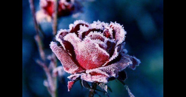 Хороскоп за днес, 23 декември: ОВЕН - интензивни събития; ВЕЗНИ - зает ...