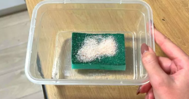 Поръсвам сол върху гъбата за миене на съдове това е наистина полезен навик За Жената