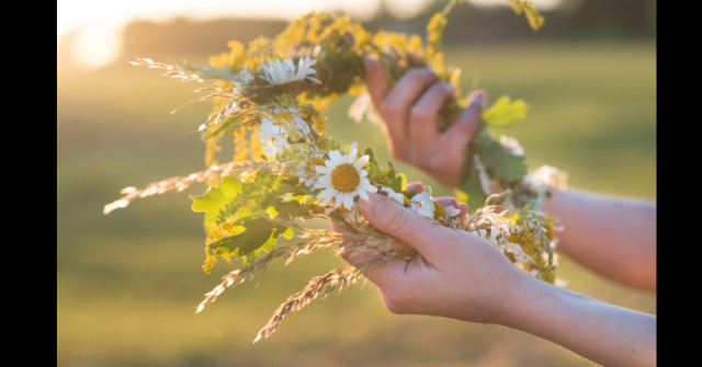 Довечера небето се отваря звездите слизат на земята Билки добиват чудна сила всяка магия