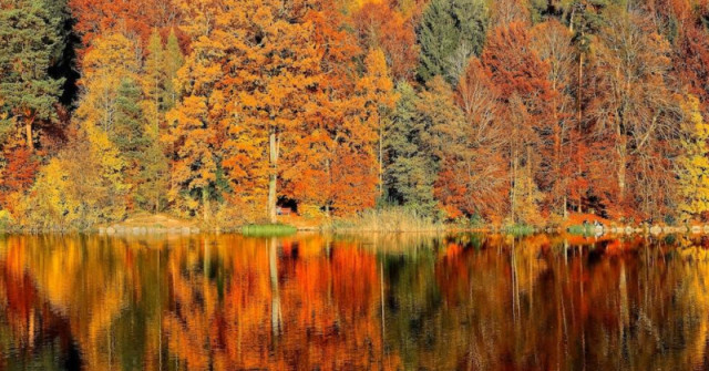 Хороскоп от Павел Глоба за 7 ноември 2023 г За да постигнат успех Девите трябва да бъдат