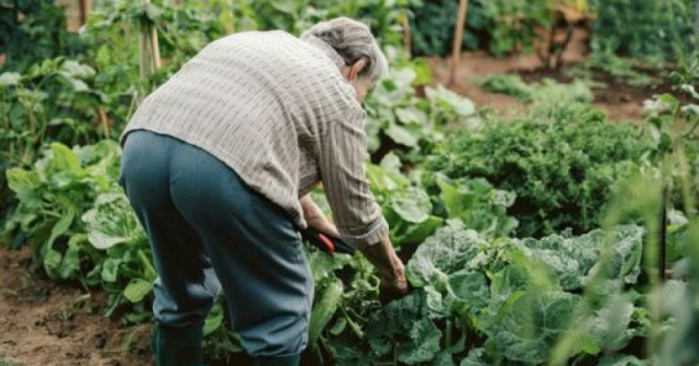 Поставихме камера на къщата на село Умряхме от смях като видяхме какво прави съседката в нашата